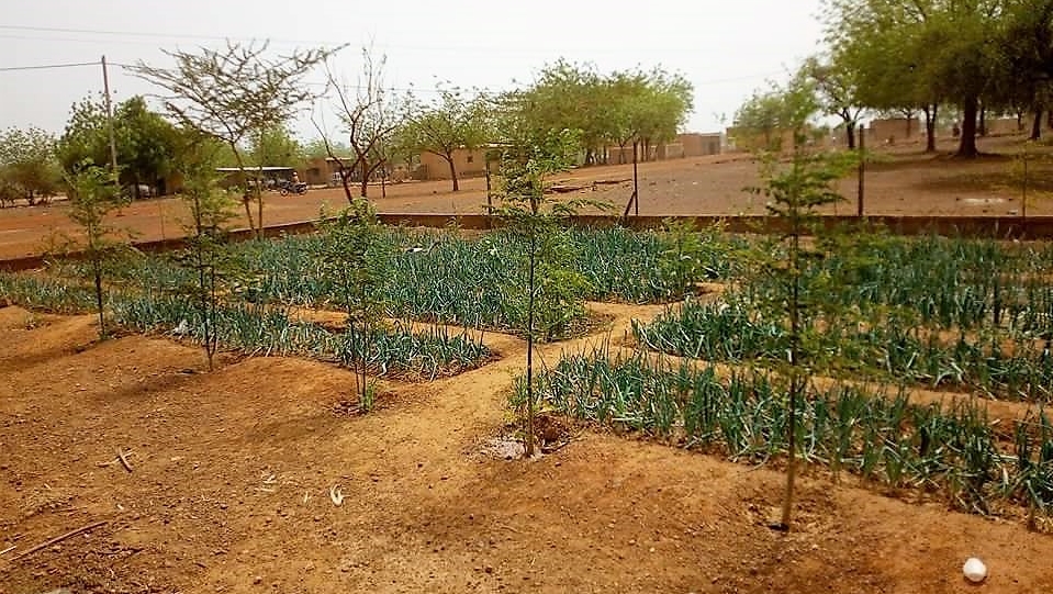 Moringas – Rouko et Mont-Saint-Aignan, un jumelage vivant